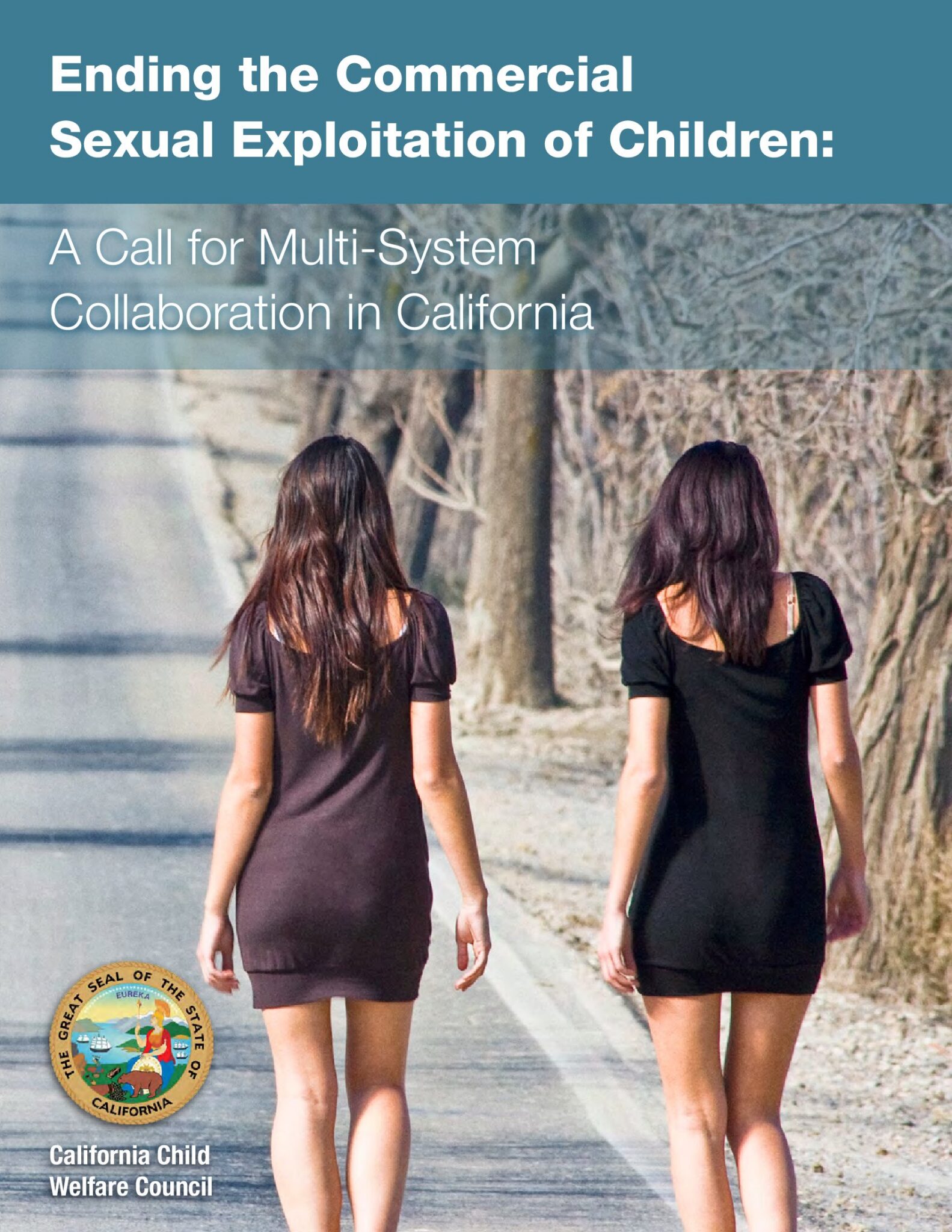Ending Commercial Sexual Exploitation of Children: A Call for Multi ...